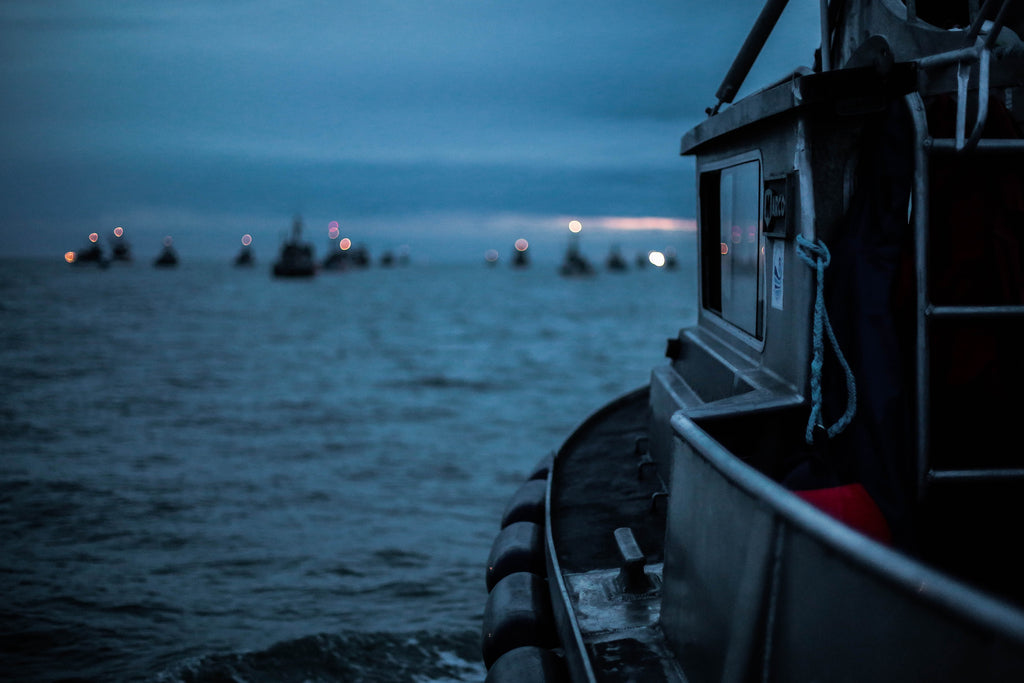 Bristol Bay Brailer, LLC.